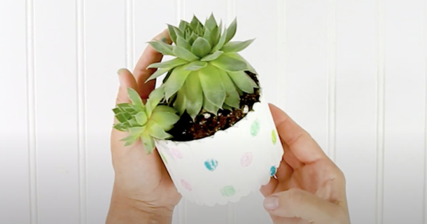 Easy Popsicle Stick Planter For Your Home And Garden