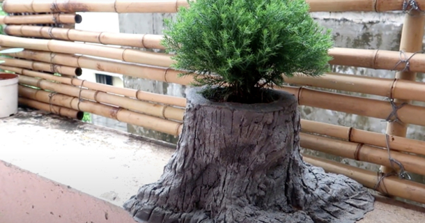 DIY Special Potted Tree Crafted From Concrete