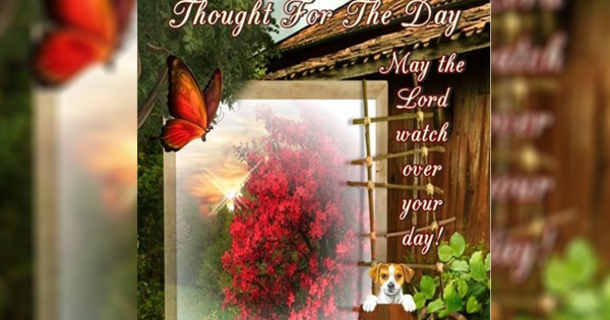 10 Daily Thoughtful Messages And Quotes