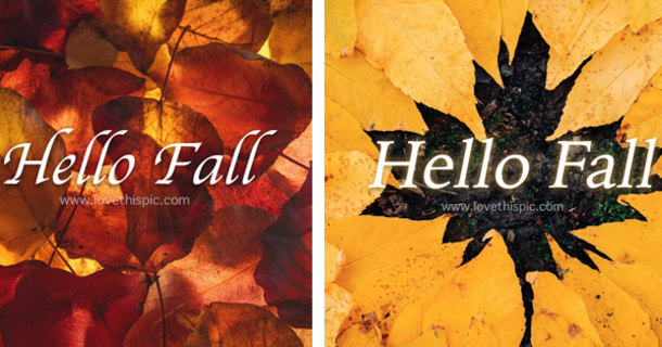 10 New Hello Fall Pictures & Quotes