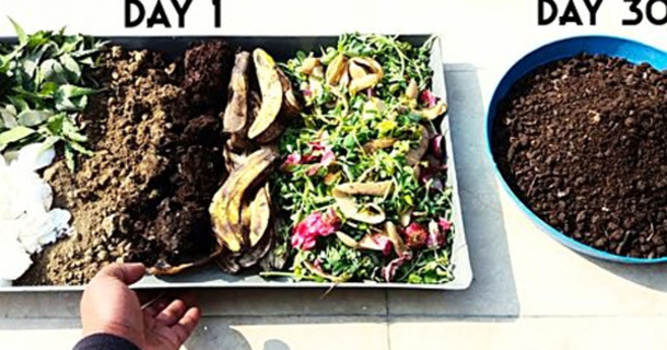 Make Your Own Compost Using Kitchen Scraps With The Following Tips...