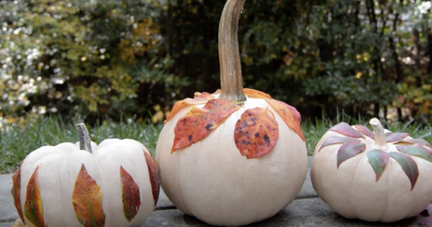 Perfect DIY Thanksgiving Leaf Pumpkin Decor