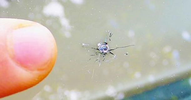 Simple Method On How To Repair A Cracked Windshield