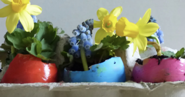 DIY Spring Eggshell Flower Pot Idea
