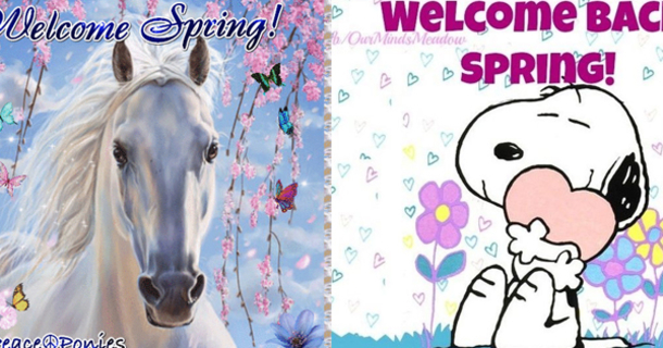 10 Beautiful Happy & Hello Spring Quotes