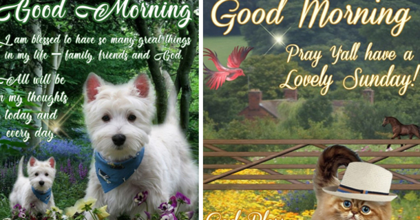 10 Glorious Good Morning Sunday Quotes