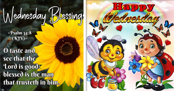 10 Awesome Wednesday Quotes And Sayings