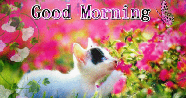 10 Morning Gifs And Animated Good Morning Quotes