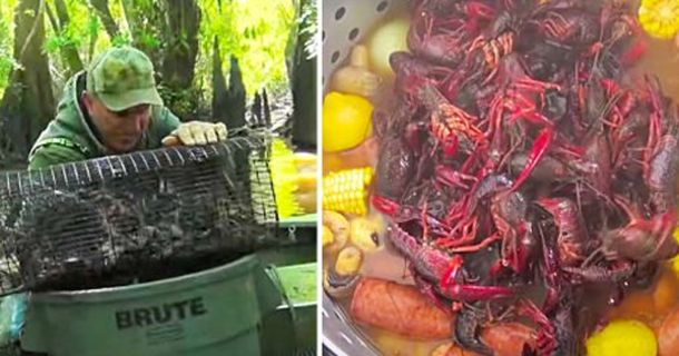 Great Technique On How To Catch Clean And Cook Crawfish