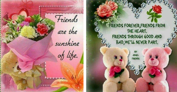 10 Wonderful Friendship Quotes & Images