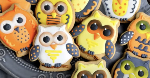 DIY Decorated Owl Cookies Using 2 Different Styles