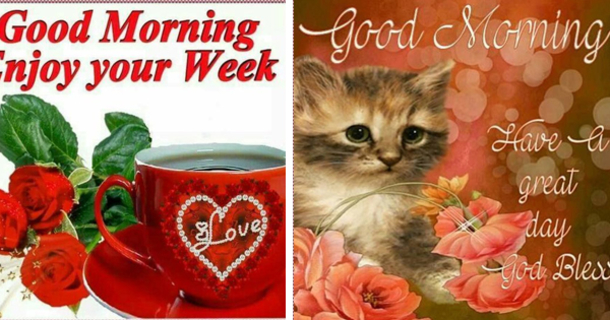 Happy Morning! Here Are 10 Beautiful Good Morning Images & Quotes Just ...