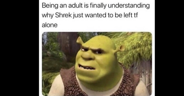 10 Funny But Really True Memes Of The Day