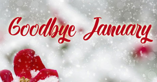 10 Goodbye January Quotes, Messages & Wishes