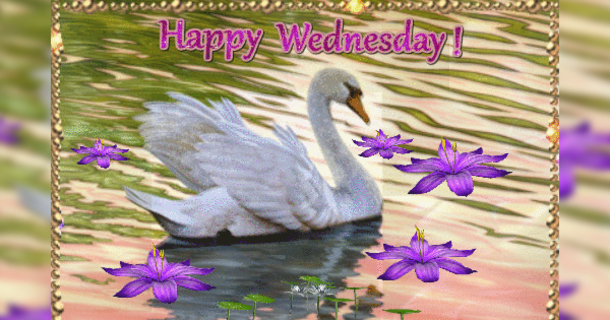 10 Happy Wednesday Animated Wishes You'll Love