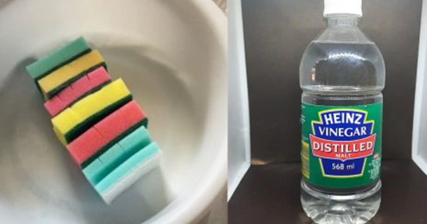 How To Clean Your Kitchen Sponge With A Variety Of Techniques
