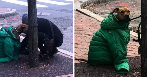 Woman puts jacket over her dog to keep him warm while he waits outside ...