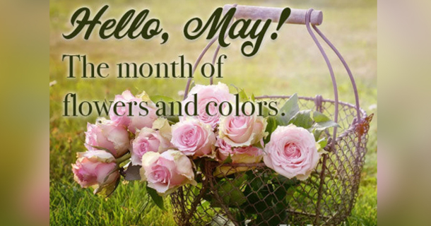 10 Hello May Messages, Quotes And Greetings