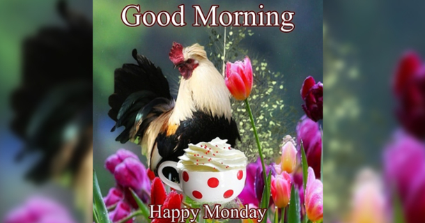 10 Super Cute Good Morning Monday Quotes