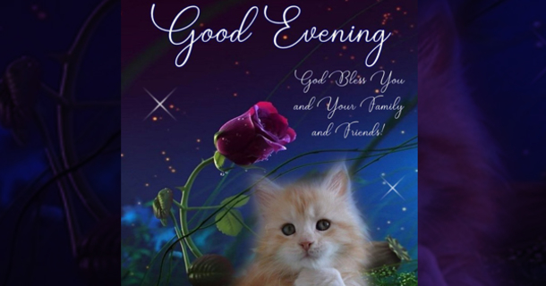 10 Warm Good Evening Quotes That Will Bless Your Heart