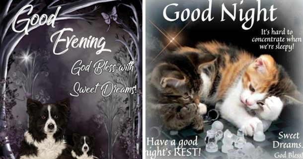 10 Good Night & Good Evening Messages For The Night