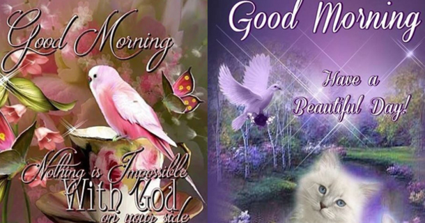 10 Top Daily Good Morning Quotes And Sayings