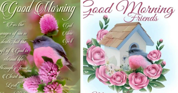 10 Lovely Good Morning Images With Quotes