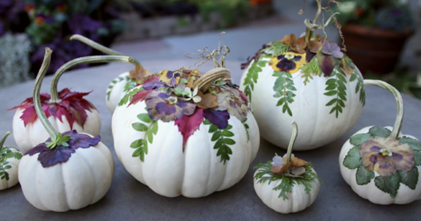 Botanical Garden Pumpkin DIY Decor For Fall