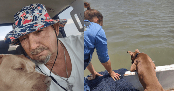 Dog reunites with owner after she falls off a boat and swims several ...