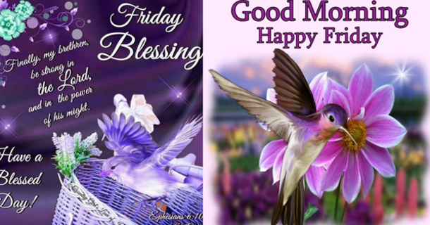 10 Glorious Friday Quotes And Sayings To Love