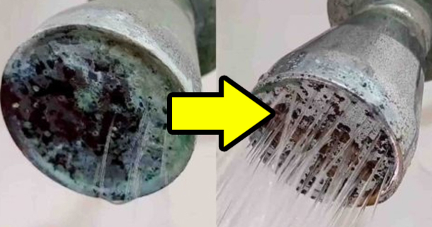 How To Clean A Grimey And Clogged Shower