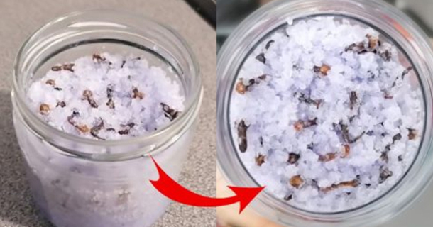 How To Make Homemade Deodorizer To Keep Your House Smelling Fresh And ...