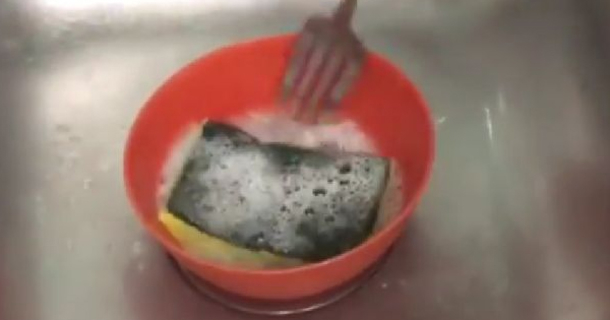 How To Clean A Stinky Sponge That Has A Bad Odor