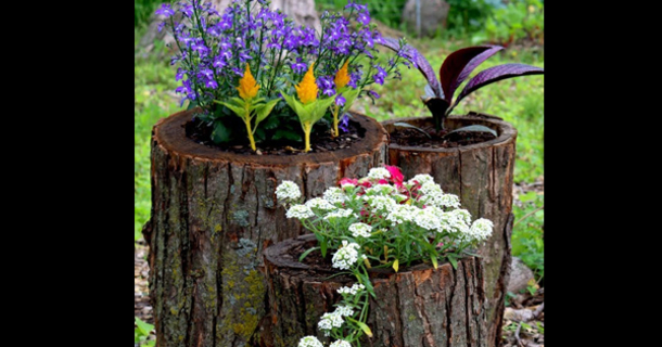How To Create This Stunning Log Planter For Your Garden
