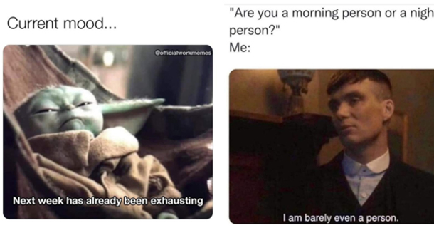 10 Most Funny Jokes, Memes And Humor To Make You Laugh All Day