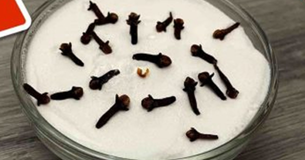 How To Make Your Home Smell Fresh & Clean Always