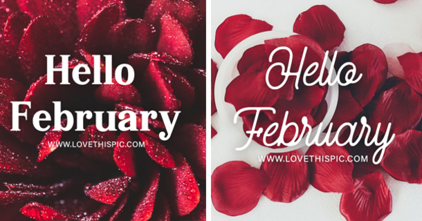 60 Inspirational Hello February Quotes 2023 To Celebrate The Month Of Love