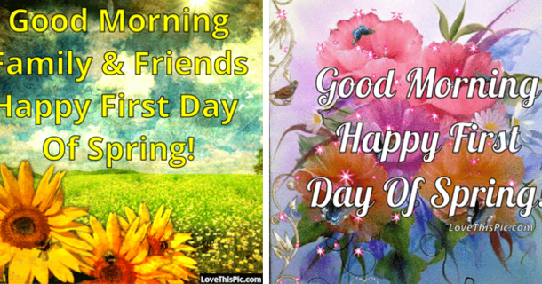 10 Happiest First Day Of Spring Gifs In 2023
