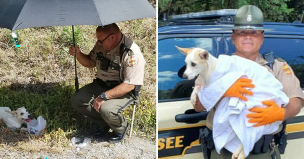 Trooper rescues dog on the side of highway from scorching heat, then ...