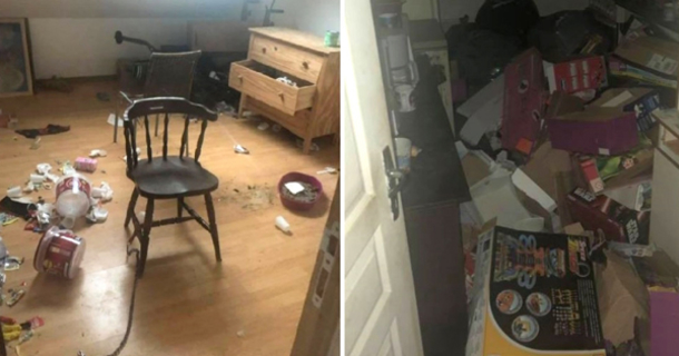This rental property was a disaster so landlord teaches rude tenants a ...