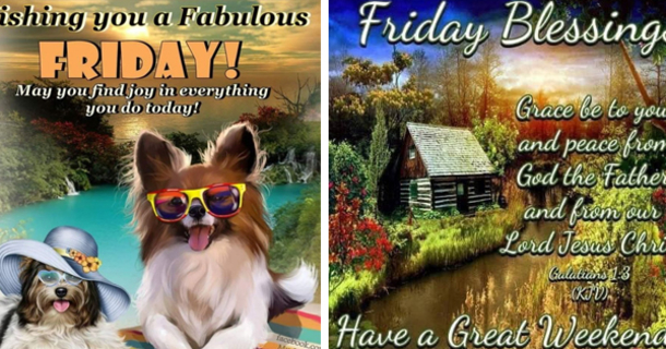 It's Friday! Here's 80 Friday Images, Quotes And Sayings To Make You ...