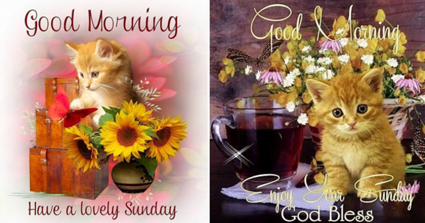 70+ Best Inspiring Good Morning Sunday Quotes & Blessings