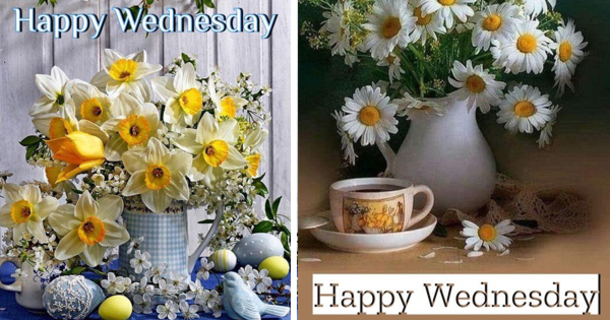 10 Happy Wednesday Quotes To Boost Your Mood