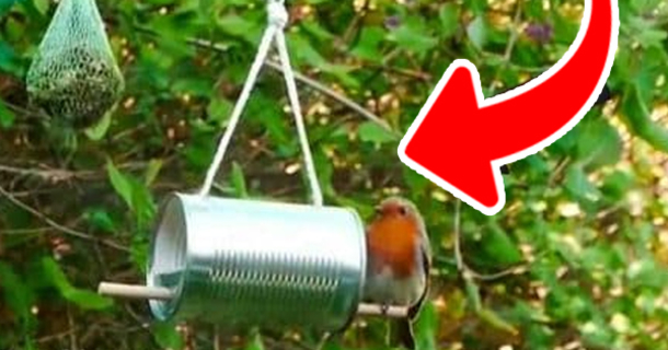How To Build Your Own Tin Can Bird Feeder