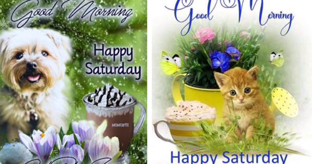Smile and Relax: Happy Saturday Quotes To Brighten Your Day