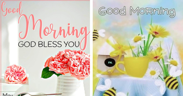Best Good Morning Quotes To Set The Tone For Your Day