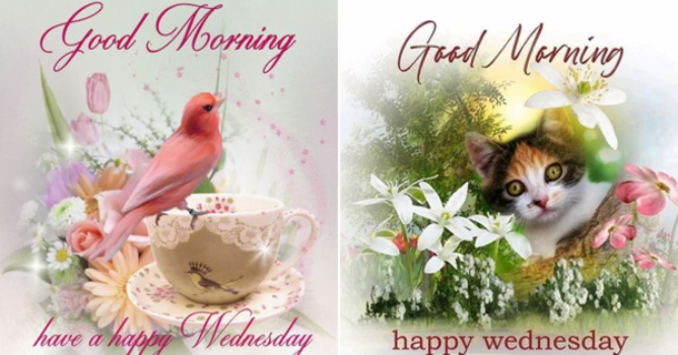 Midweek Motivation: 10 Good Morning Wednesday Quotes to Boost Your Week