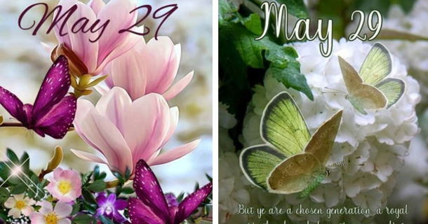 May 29 Quotes, Wishes And Greetings For A Beautiful Day