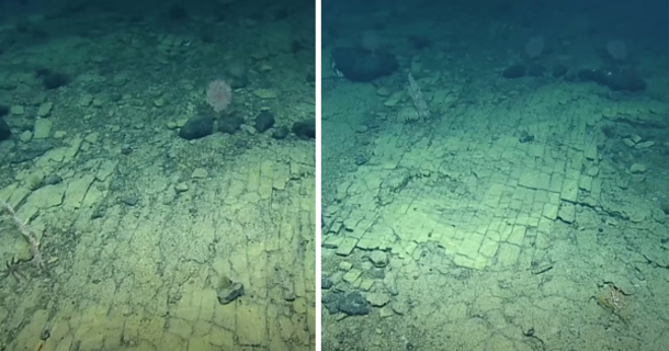 Scientists stumble upon unusual “Yellow Brick Road” at the bottom of ...