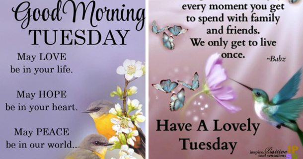 10 Inspirational Tuesday Quotes To Help You Get Through The Week